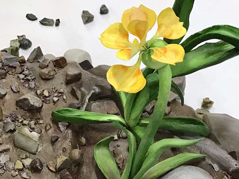Zachari Logan: The Flourishing Edge - Gardiner Museum